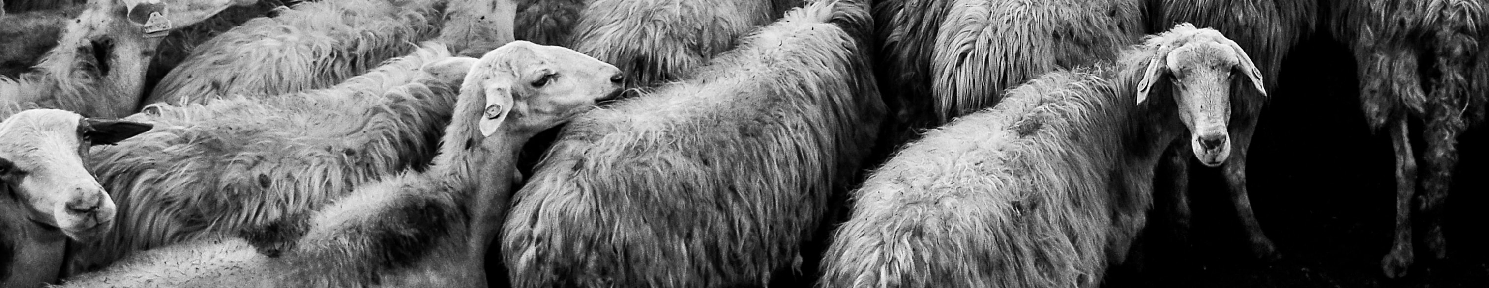 Too Much With Us | The Brancatelli Blog